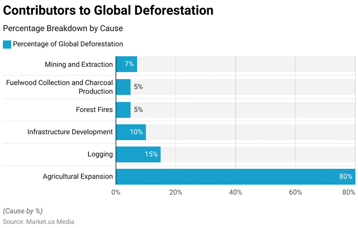 Deforestation Has Far-Reaching Consequences