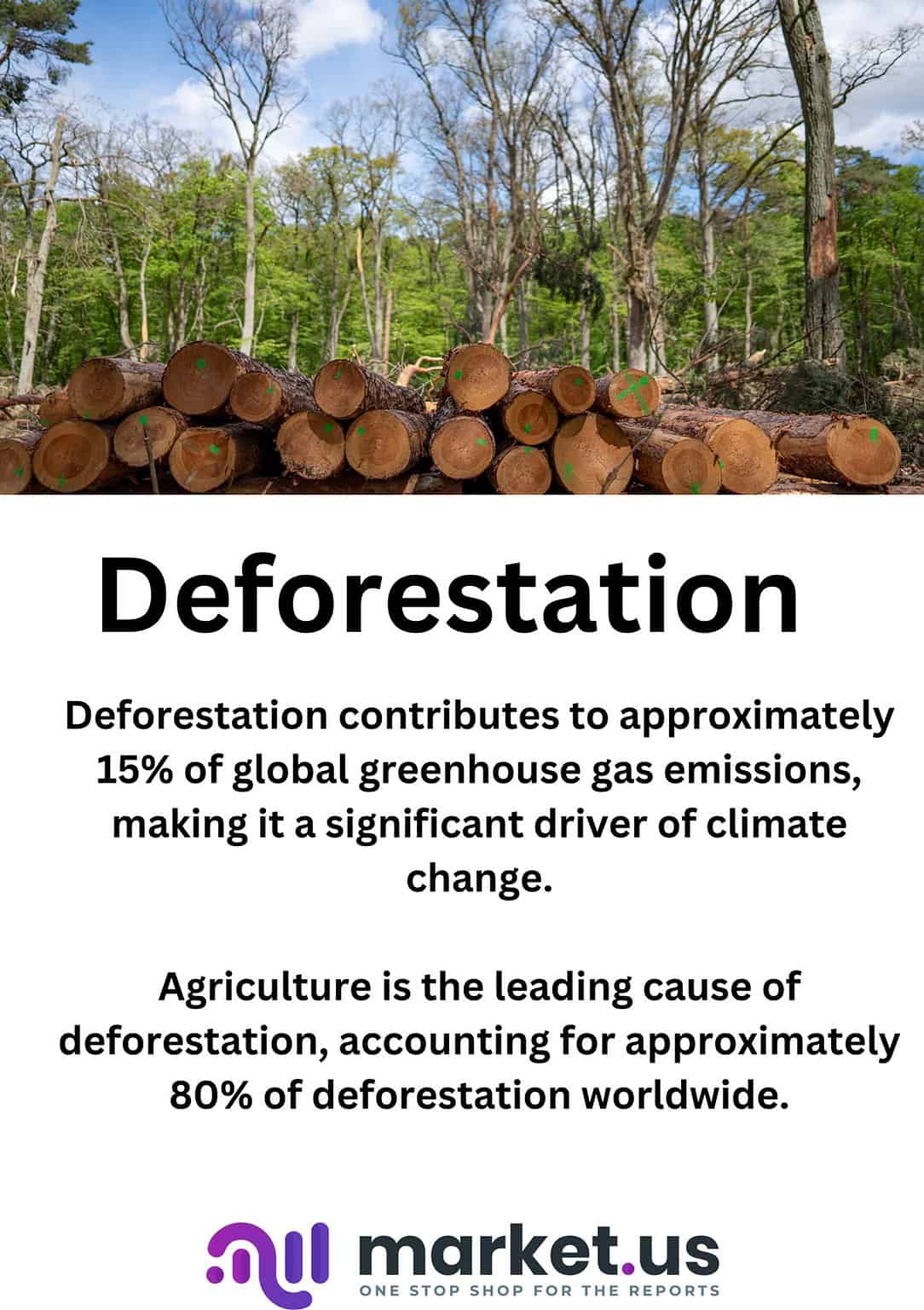 Deforestation Statistics and Facts (2025)