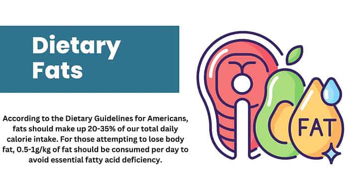 Dietary Fat Statistics and Facts (2026)