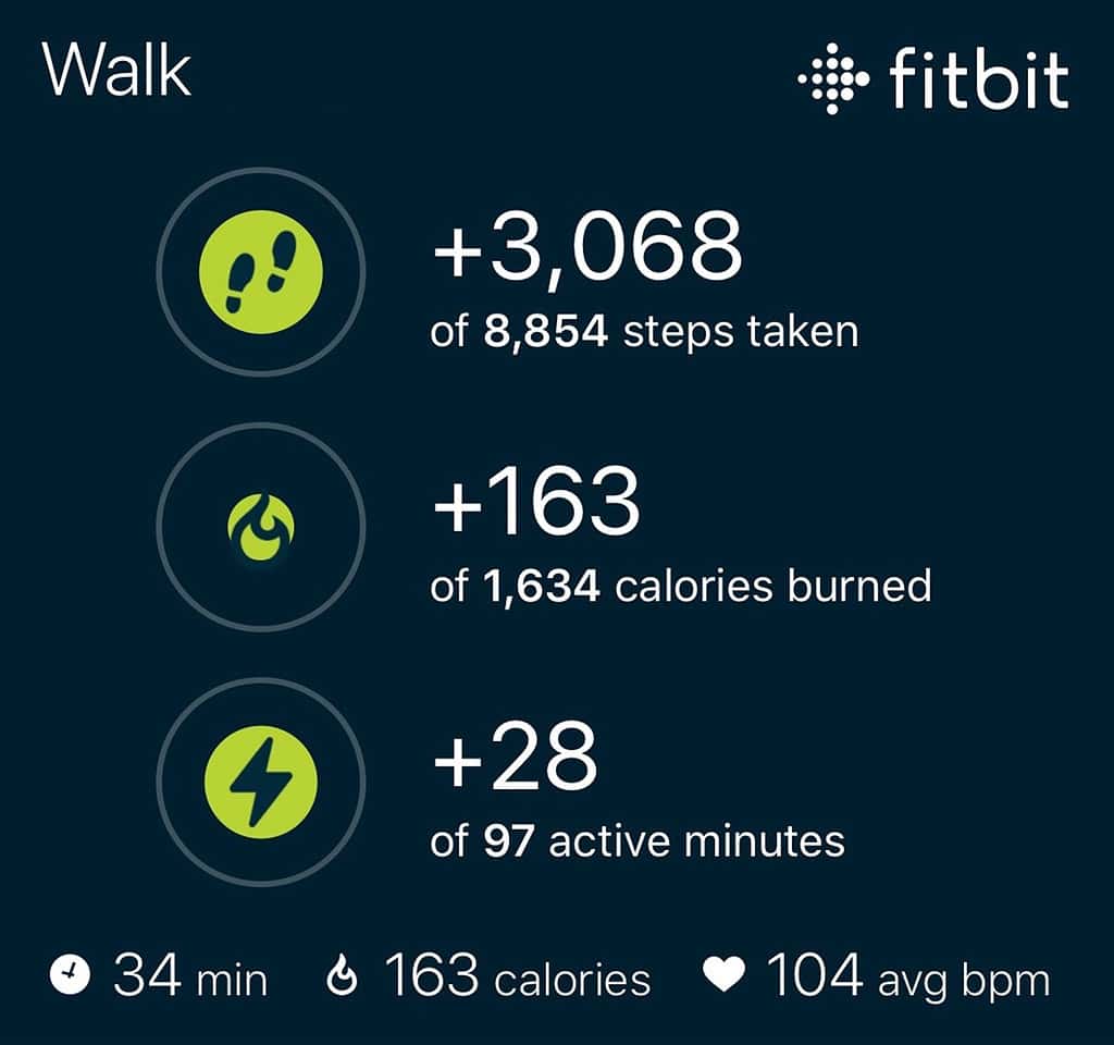 Fitbit Usage Statistics and Facts (2025)