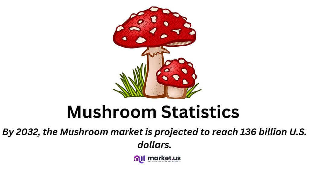 Mushroom Statistics and Facts (2025)