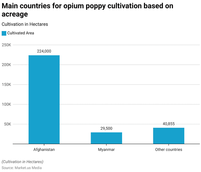 Opioid Statistics and Facts (2026)